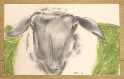 Caroline Leaf - British Animation Awards