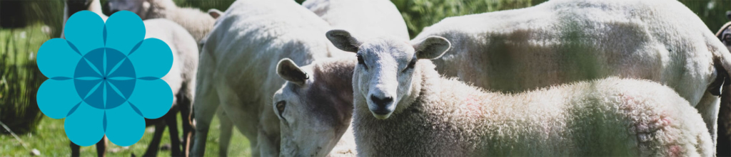 64 Zoo Lane: Kevin The Crocodile - British Animation Awards