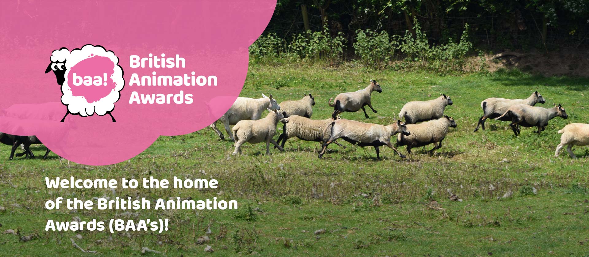 The British Animation Awards (BAA)